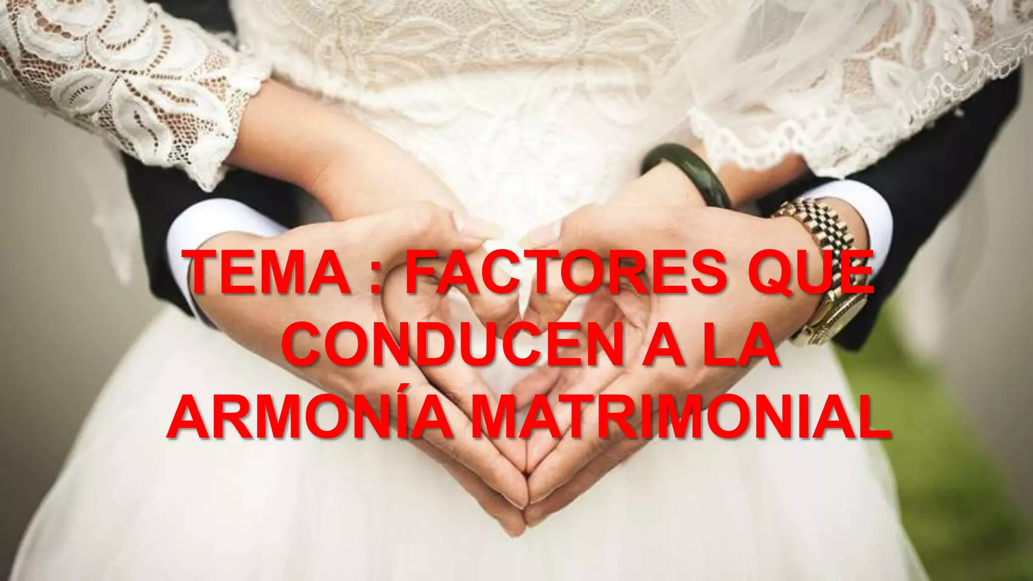 Factores que aportan a la buena armonia matrimonial.pdf