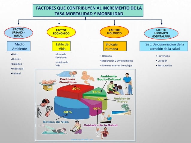 Factores Que Contribuyen A La Tasa De Mortalidad Y Morbilidad Ppt