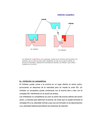 Factores que regulan la actividad enzimática | DOC