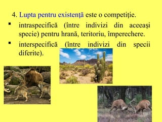 Factori_ai_evolutiei.ppt