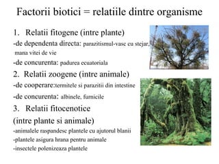 Factorii geoecologici | PPT