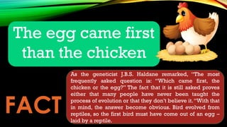 factoropinion - english 10 - powerpoints | PPT