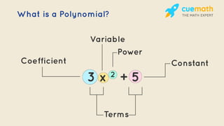Factor polynomials with a common monomial factor..pptx