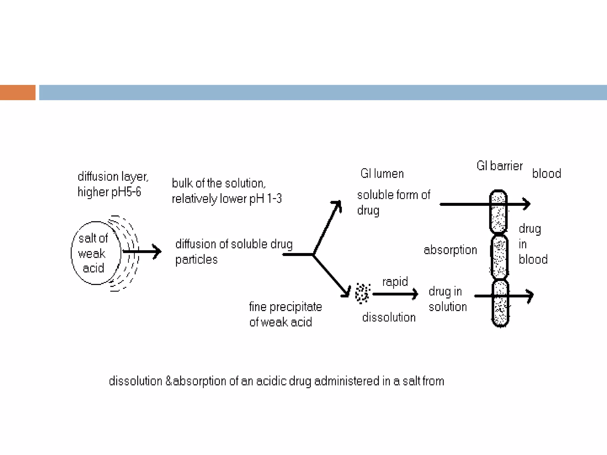 Factors afeecting drug absoption | PPTX | Pharmaceutical Drugs ...