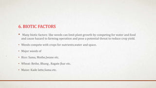 Factors-affecting-cereals-crop-production-and-its-Management.pptx