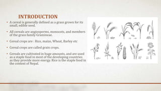 Factors-affecting-cereals-crop-production-and-its-Management.pptx