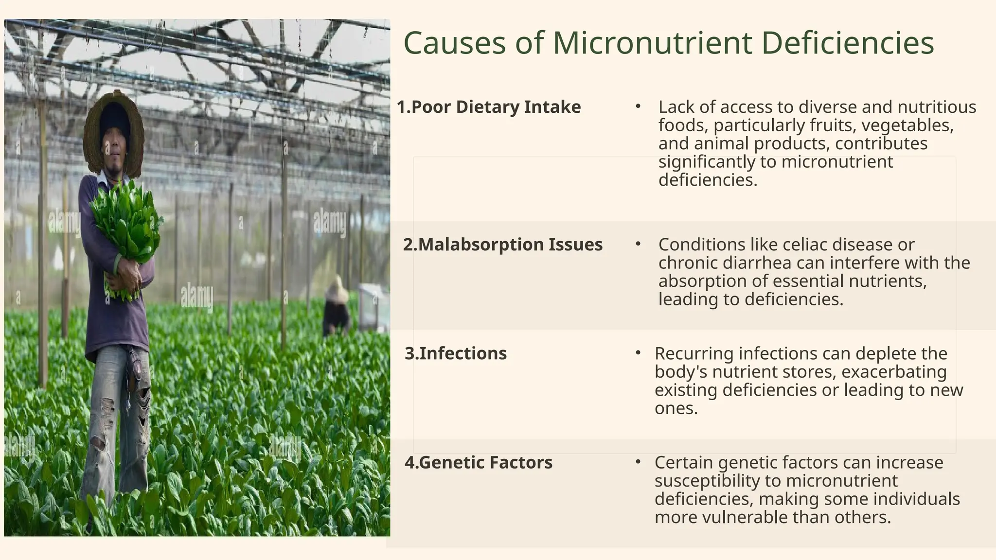 Factors-Affecting-Development (MICRONUTRIENT DEFICIENCIES AND EARLY ...
