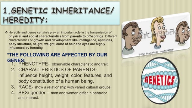 Factors affecting-human-development | PPTX