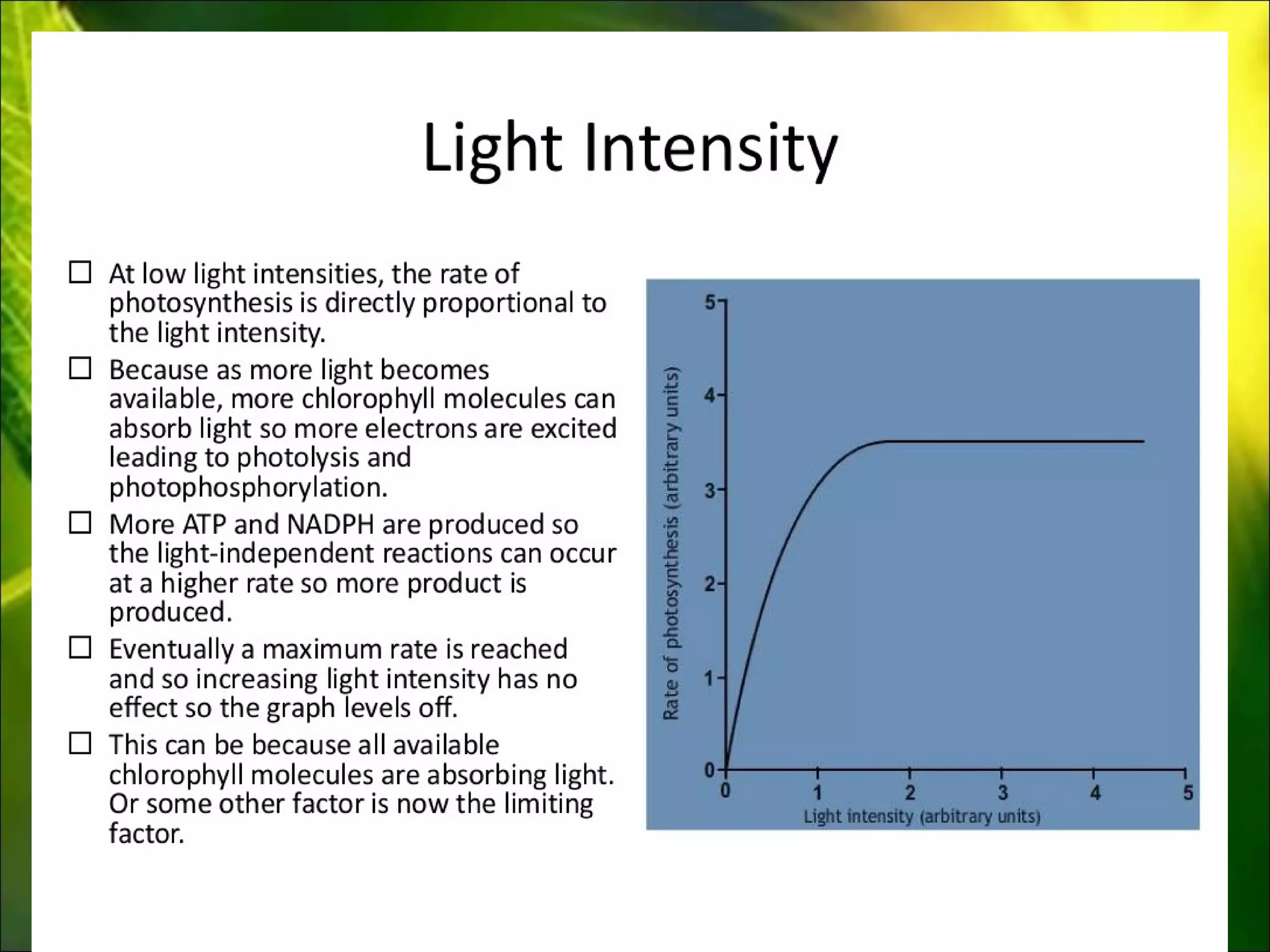 FACTORS AFFECTING THE RATE OF PHOTOSYNTHESIS | PPT