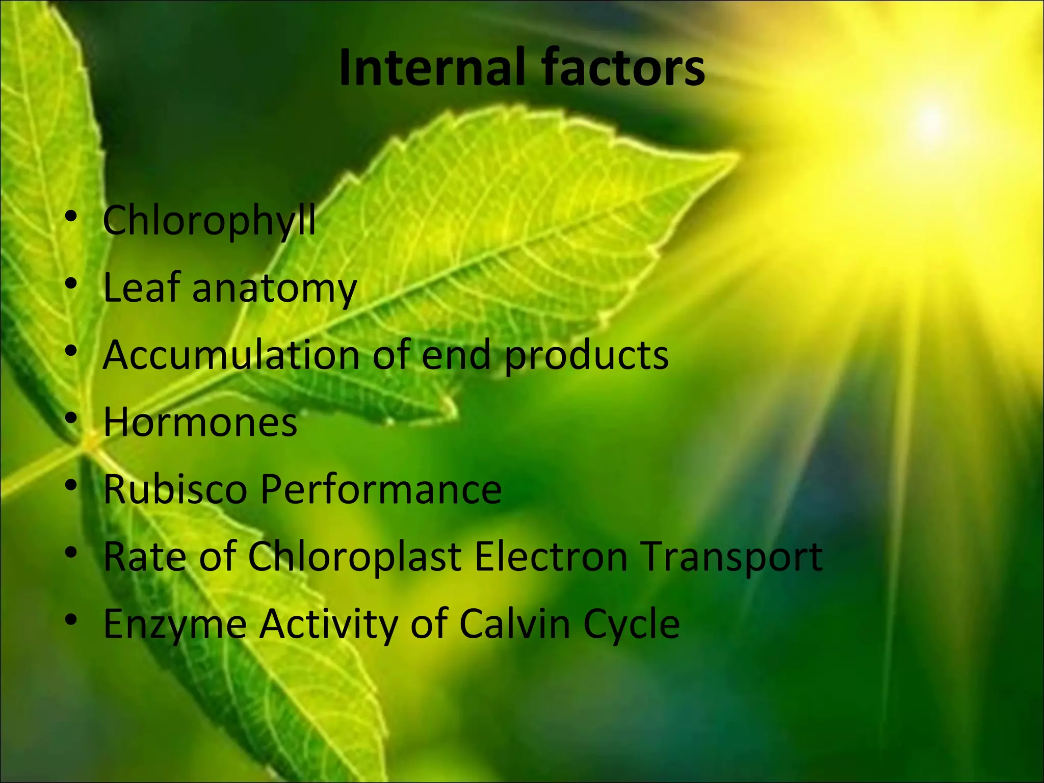 FACTORS AFFECTING THE RATE OF PHOTOSYNTHESIS | PPT