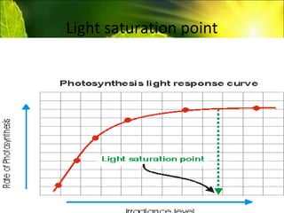 FACTORS AFFECTING THE RATE OF PHOTOSYNTHESIS | PPT