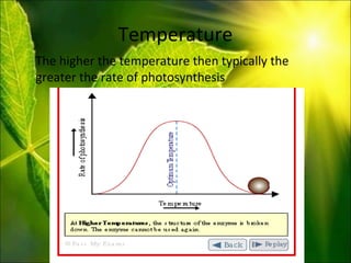 FACTORS AFFECTING THE RATE OF PHOTOSYNTHESIS | PPT