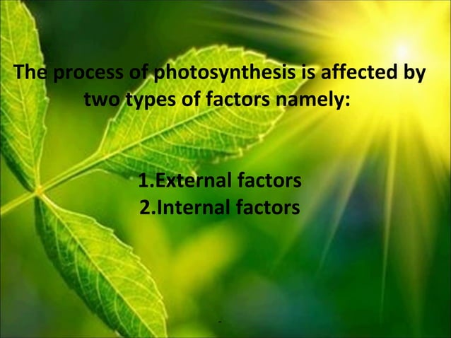 FACTORS AFFECTING THE RATE OF PHOTOSYNTHESIS | PPT | Gardening | Home ...