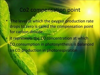 FACTORS AFFECTING THE RATE OF PHOTOSYNTHESIS | PPT
