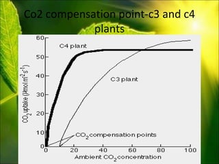 FACTORS AFFECTING THE RATE OF PHOTOSYNTHESIS | PPT