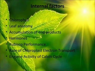 FACTORS AFFECTING THE RATE OF PHOTOSYNTHESIS | PPT