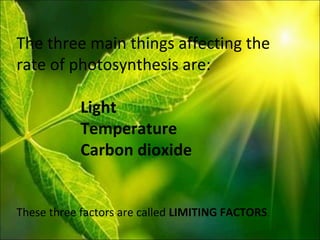FACTORS AFFECTING THE RATE OF PHOTOSYNTHESIS | PPT