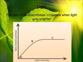 FACTORS AFFECTING THE RATE OF PHOTOSYNTHESIS | PPT