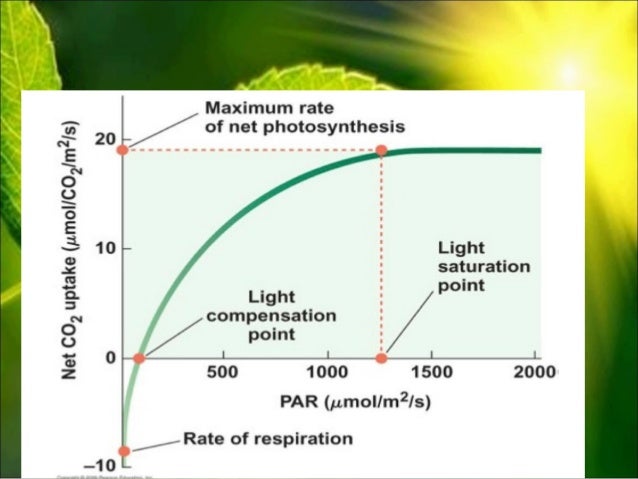 FACTORS AFFECTING THE RATE OF PHOTOSYNTHESIS