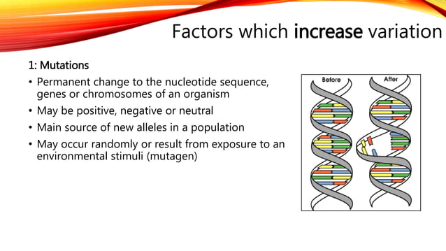 Factors affecting variation and evolutionary pathways | PPTX