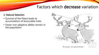 Factors affecting variation and evolutionary pathways | PPTX