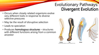 Factors affecting variation and evolutionary pathways | PPT