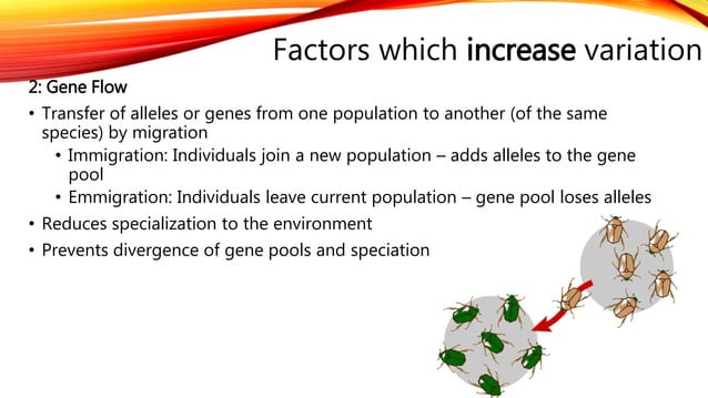 Factors affecting variation and evolutionary pathways
