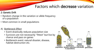 Factors affecting variation and evolutionary pathways | PPT