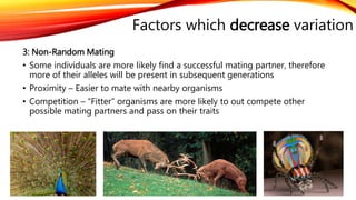 Factors affecting variation and evolutionary pathways | PPT