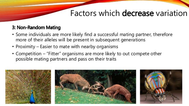 Factors affecting variation and evolutionary pathways