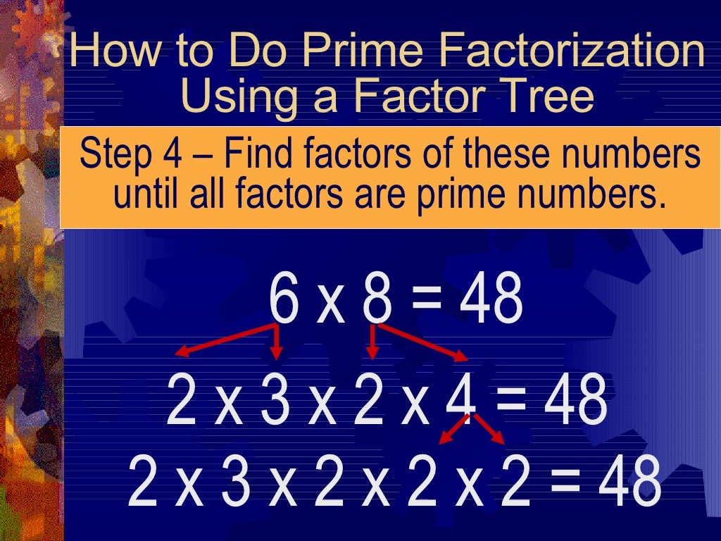 Factors & Primes