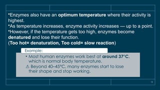 FACTORS AFFECTING ENZYMES (TEMPERATURE,ph, and SUBTRATES | PPTX