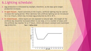 FACTORS AFFECTING EGG PRODUCTION, UNEVEN GROWTH IN LAYERS | PPTX