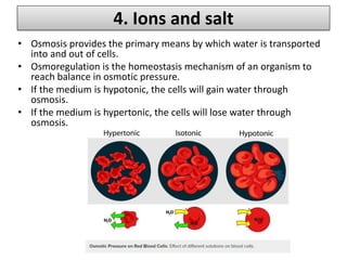 Factors affecting bacterial growth | PDF