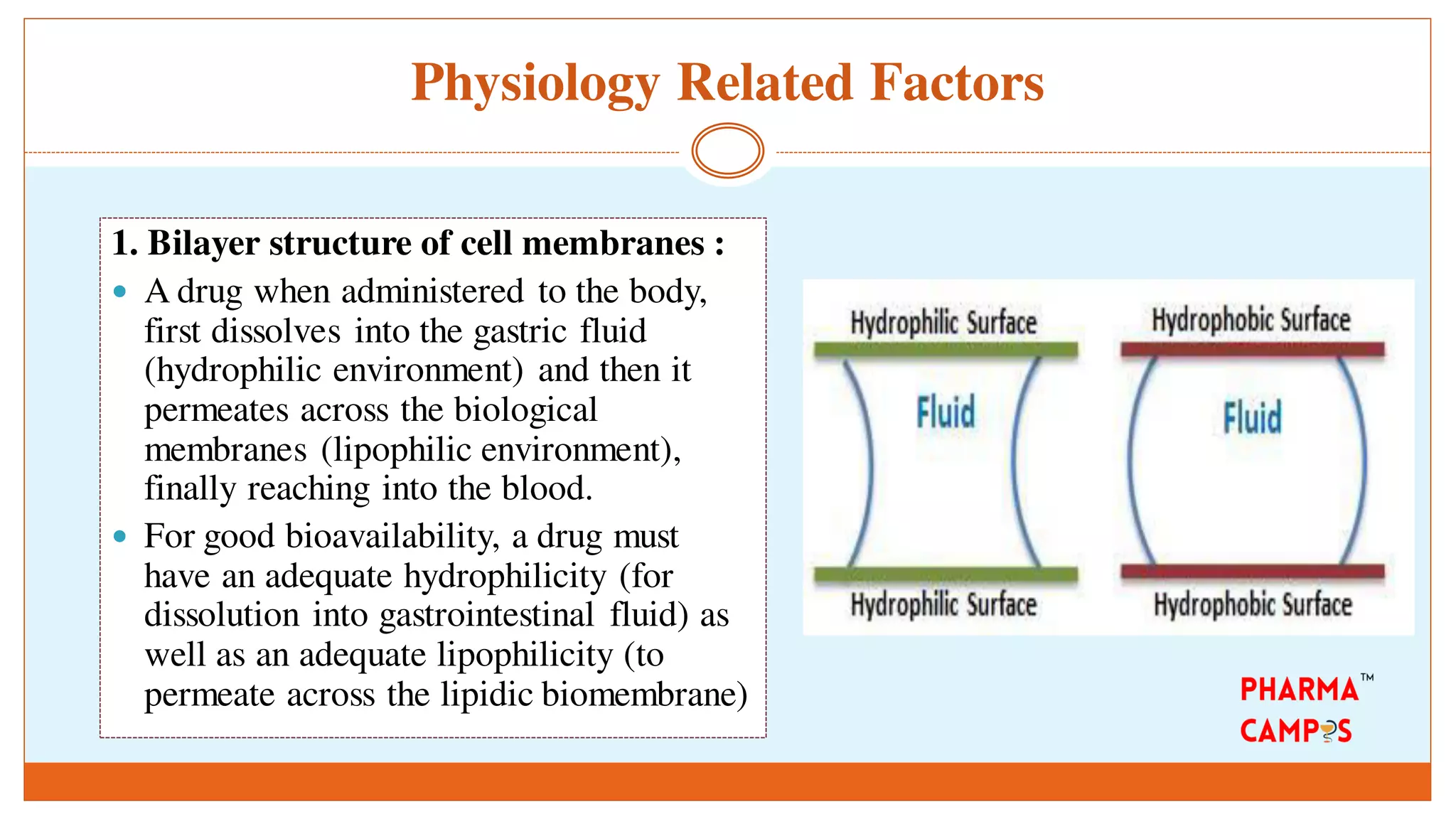 Which are the Factors affecting bioavailability? | PPT