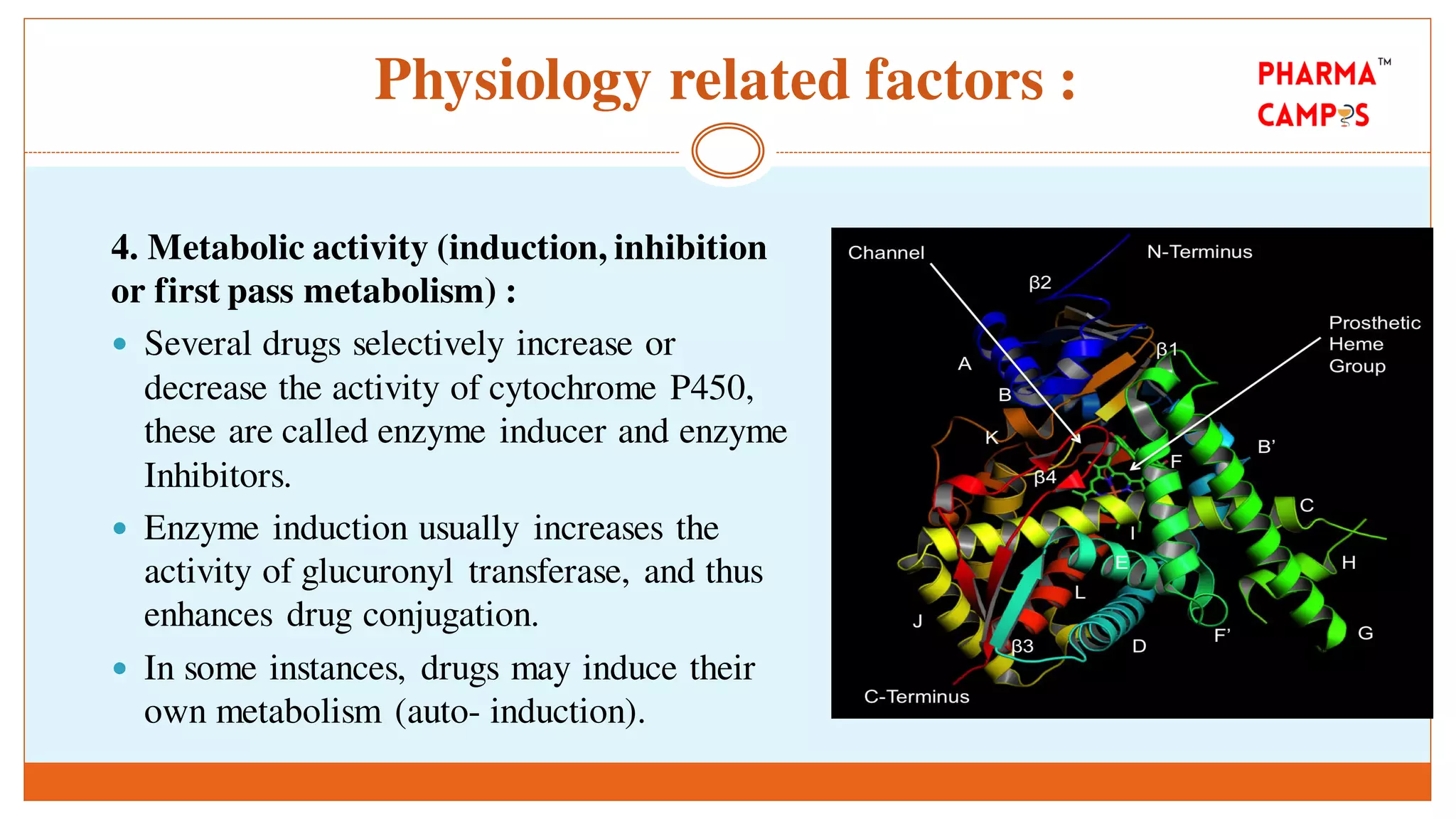 Which are the Factors affecting bioavailability? | PPT