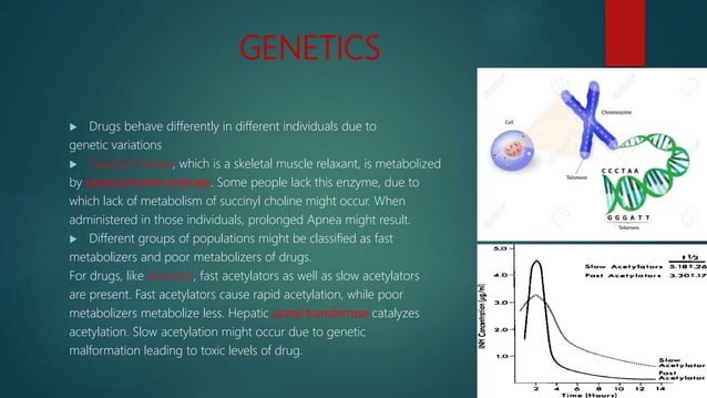 Factors affecting biotransformation | PPTX