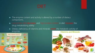 Factors affecting biotransformation | PPTX