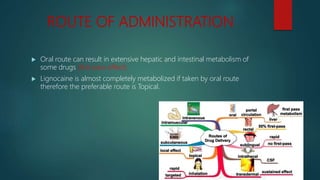 Factors affecting biotransformation | PPTX