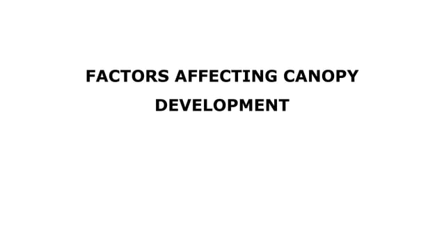 Factors Affecting Canopy Development.pptx