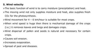 Factors Affecting Canopy Development.pptx