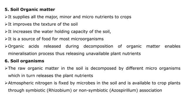 Factors Affecting Canopy Development.pptx
