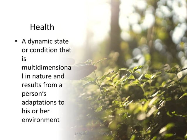 FACTORS AFFECTING COMMUNITY HEALTH | PPTX