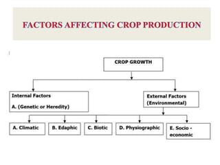 FACTORS AFFECTING CROP PRODUCTION.ppt