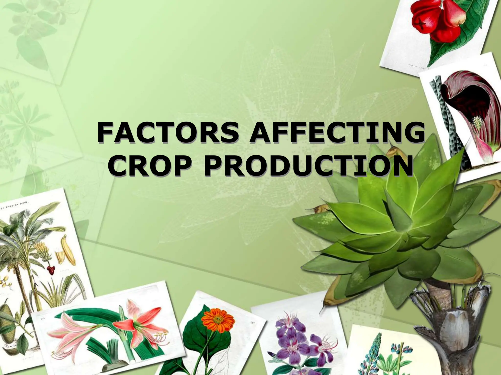 FACTORS AFFECTING CROP PRODUCTION PPT SLIDESHARE | PPTX