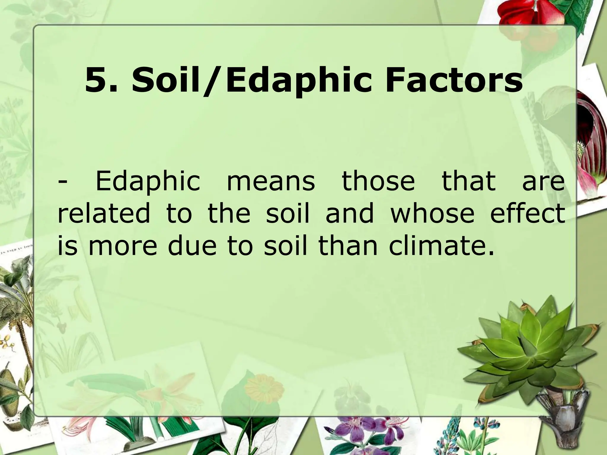 FACTORS AFFECTING CROP PRODUCTION PPT SLIDESHARE | PPTX
