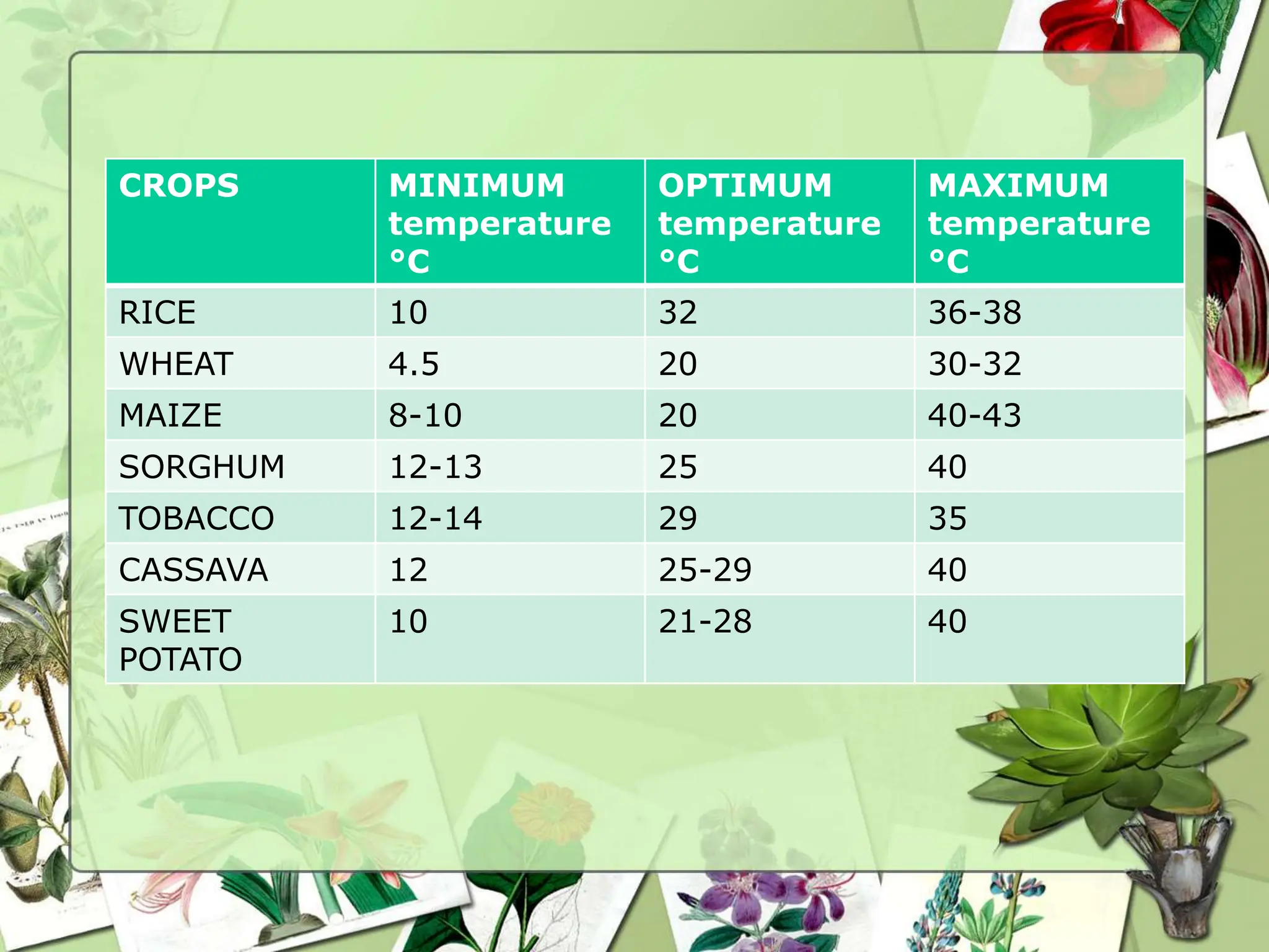 FACTORS AFFECTING CROP PRODUCTION PPT SLIDESHARE | PPTX