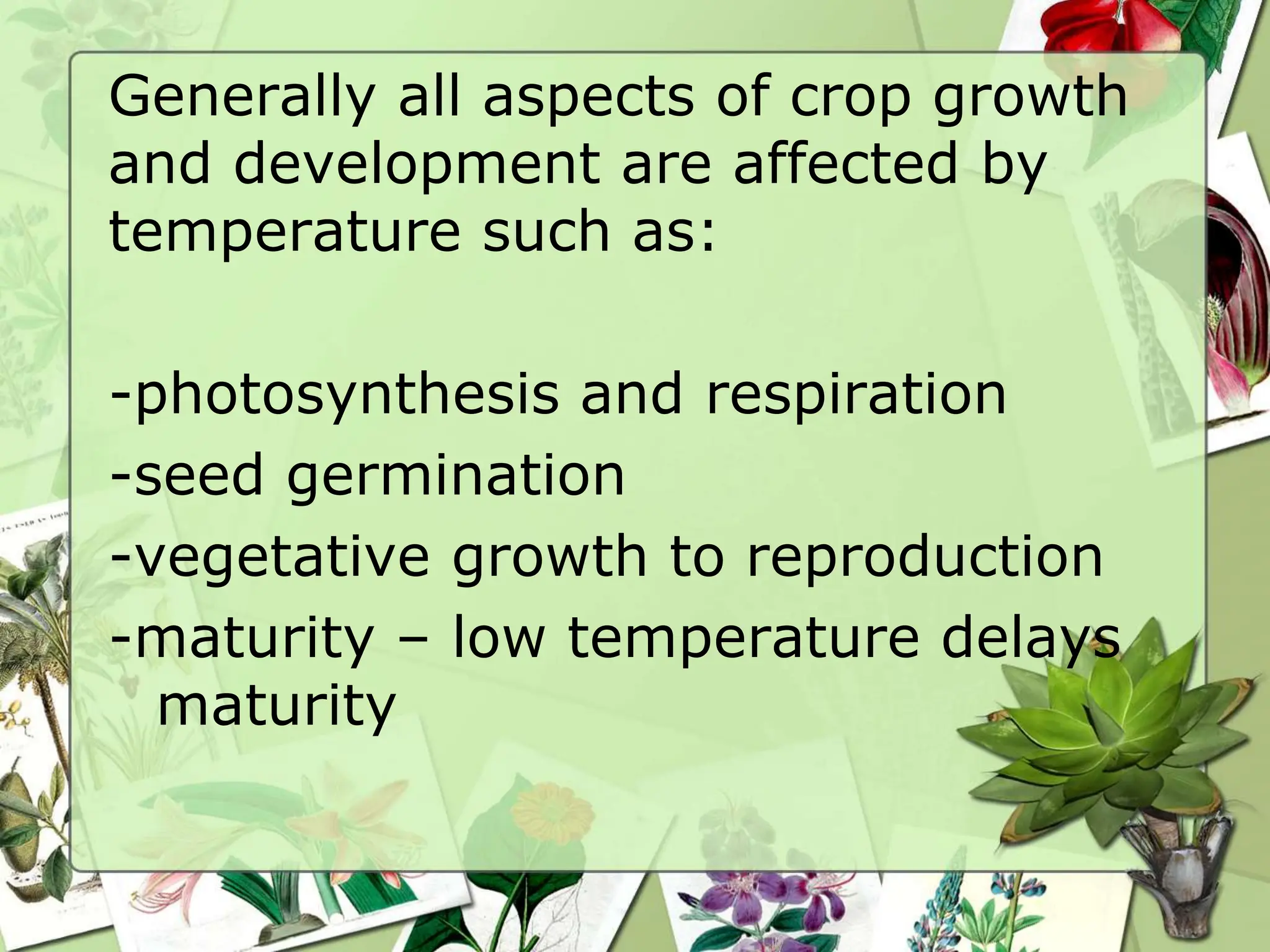 FACTORS AFFECTING CROP PRODUCTION PPT SLIDESHARE | PPTX