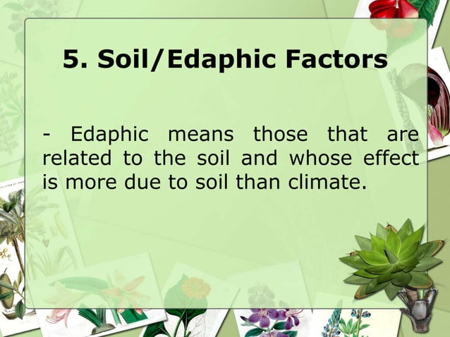 FACTORS AFFECTING CROP PRODUCTION PPT SLIDESHARE | PPTX | Agriculture ...