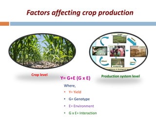 Factors affecting Crop growth and Production. | PDF
